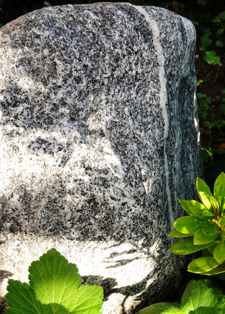 Xenoliths - SmokeLong Quarterly