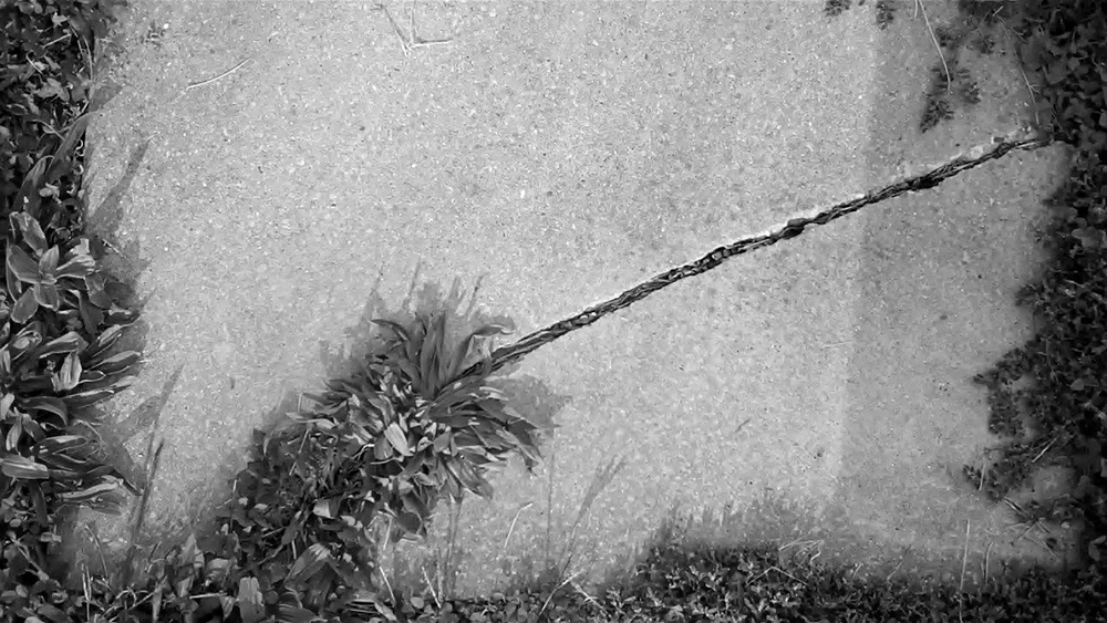 Everything in this House Is Crooked - SmokeLong Quarterly