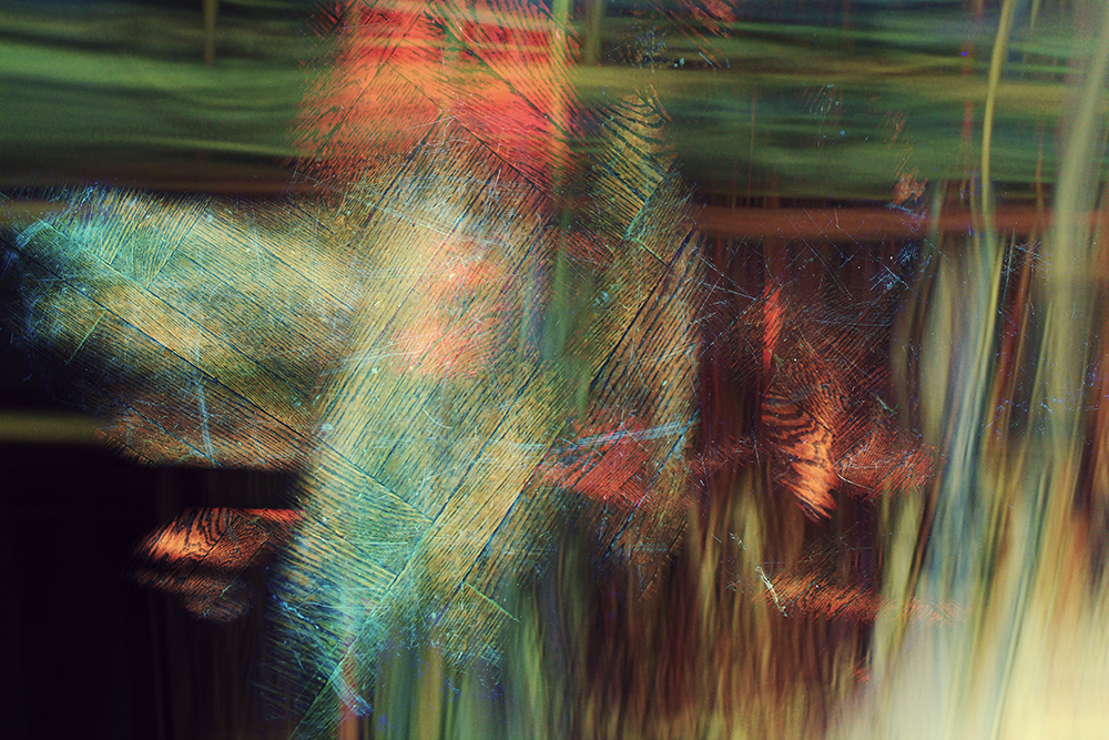 Determining the Gull Bone Index - SmokeLong Quarterly