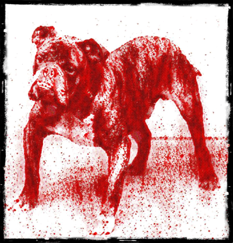 Good Boys - SmokeLong Quarterly