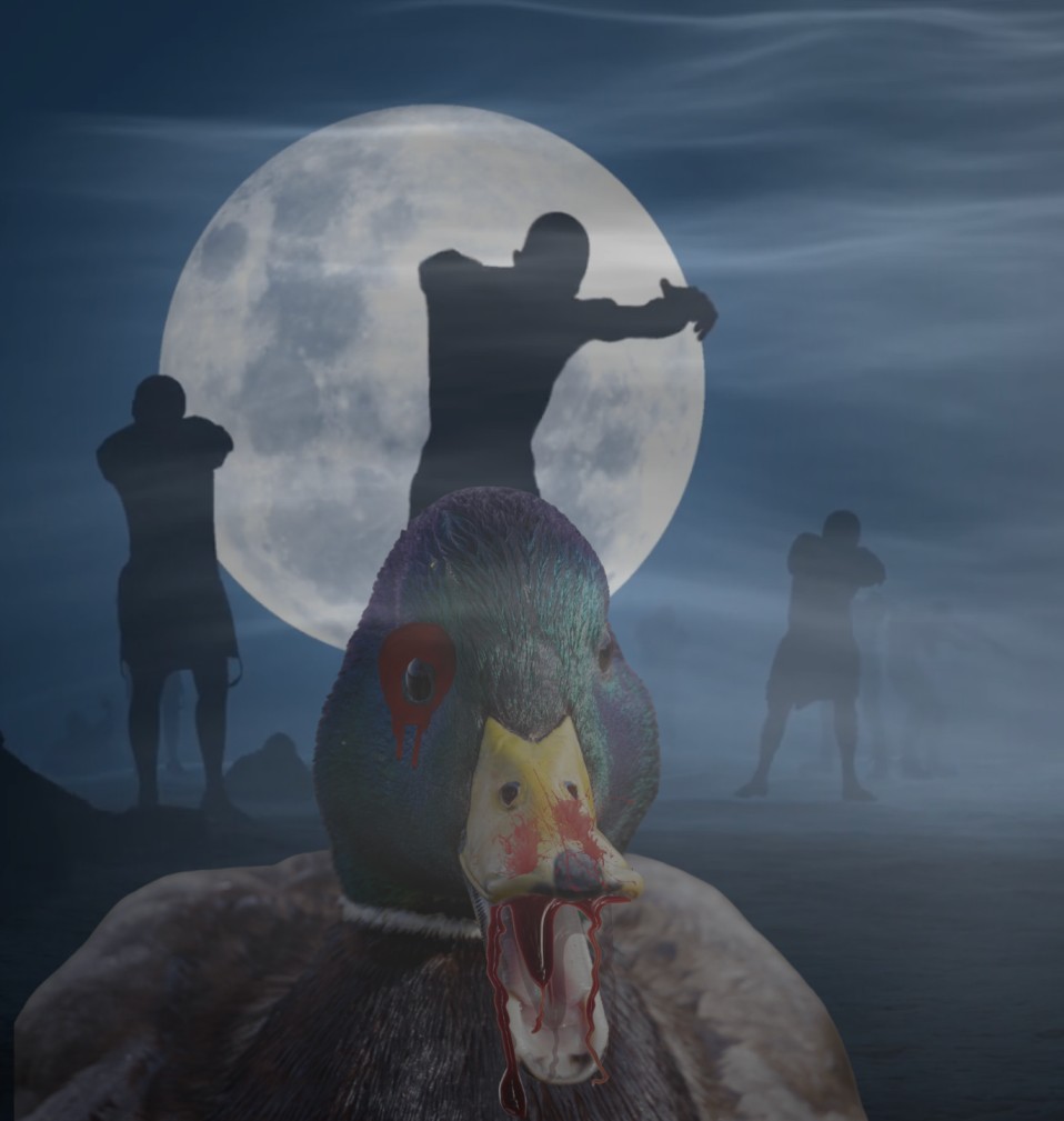 Zombie Duck - SmokeLong Quarterly